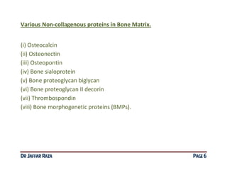 02 alveolar bone | PDF