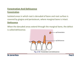 02 alveolar bone | PPT