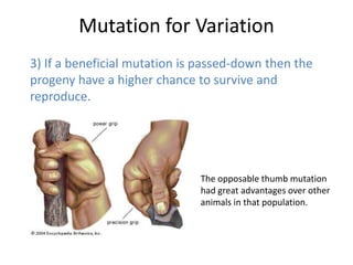 02a mutations | PPT