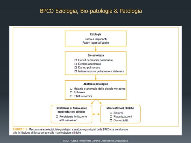 Inquadramento e trattamento della BPCO (BRONCOPNEUMOPATIA CRONICA ...