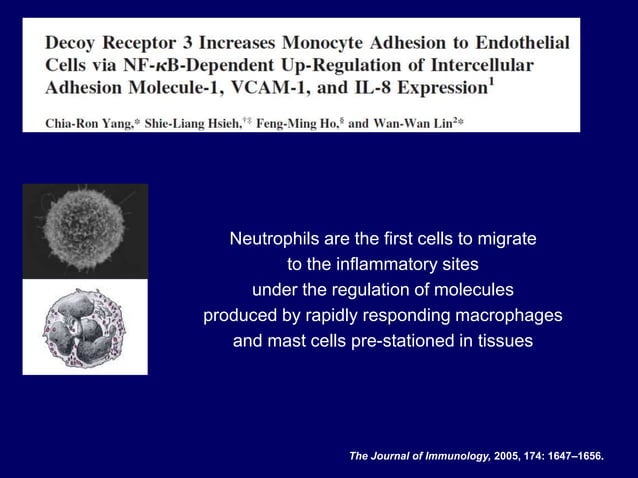 Inquadramento e trattamento della BPCO (BRONCOPNEUMOPATIA CRONICA ...