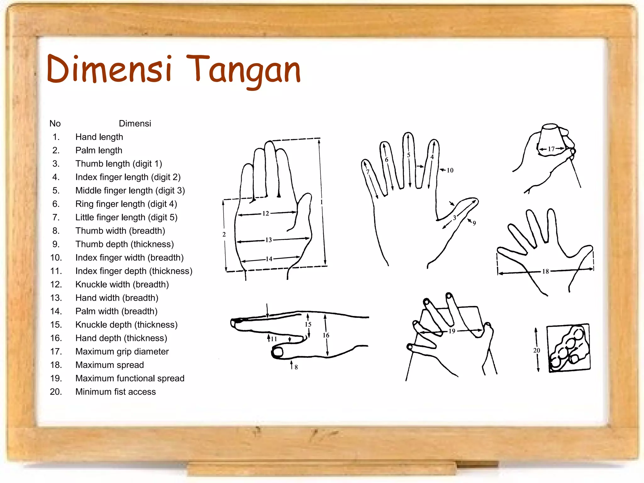 02 antropometri | PPT