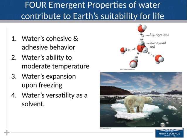 02_AP_Bio_Water_and_the_Fitness_of_the_Environment.pptx