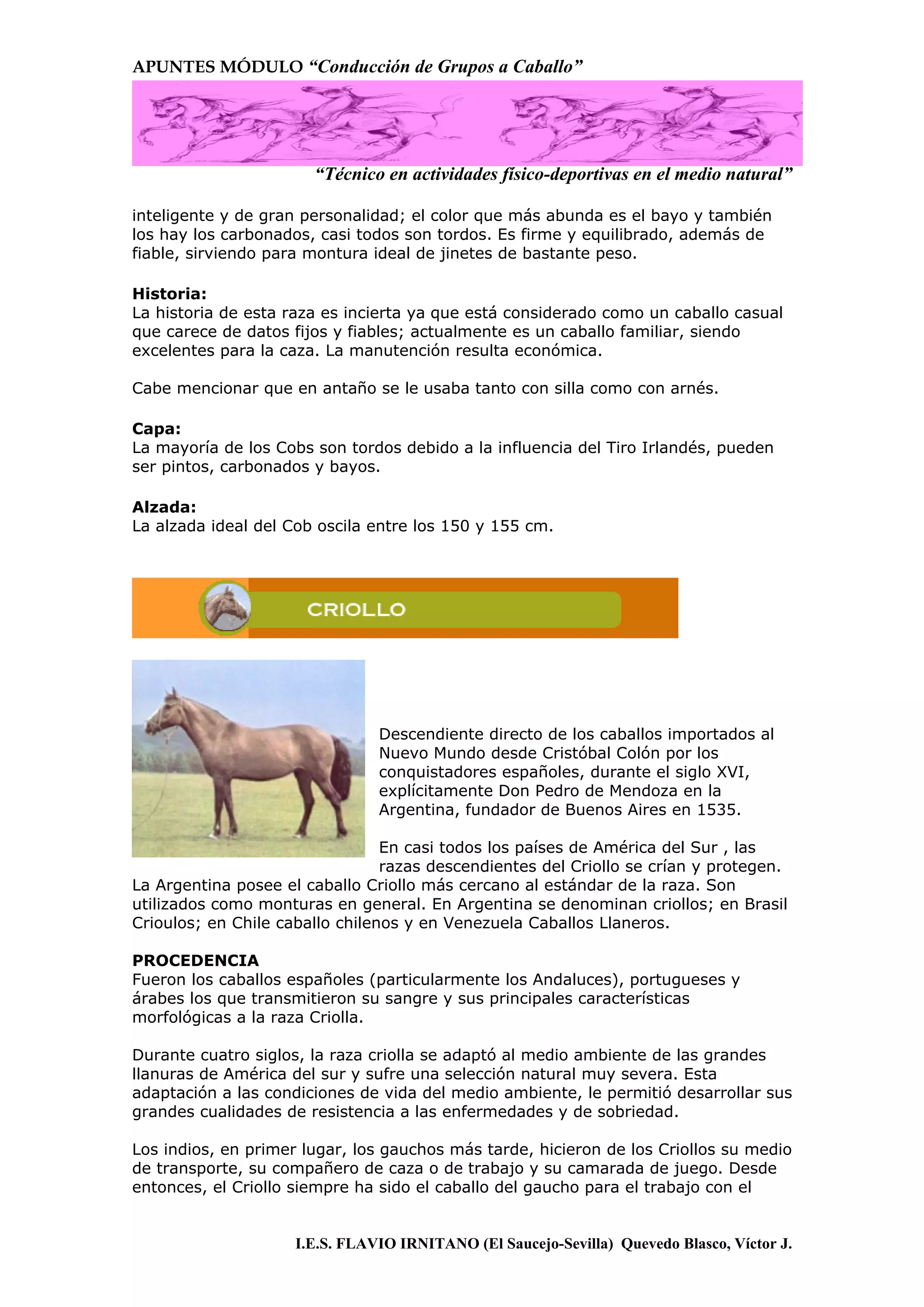 02 aspecto y razas del caballo | PDF