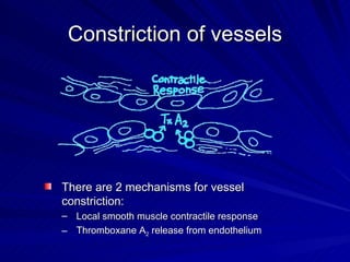 02a Surgical hemostasis | PPT