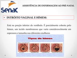 02 aula sISTEMA REPRODUTOR FEMONINO.pptx