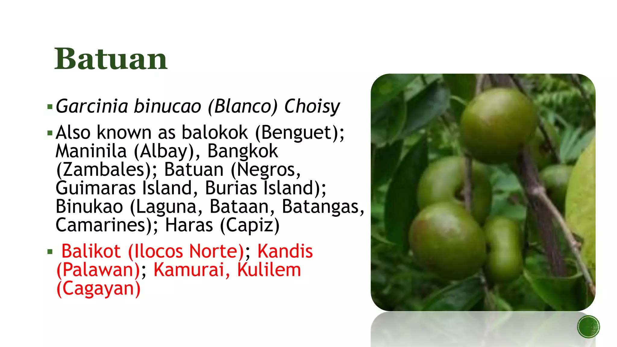 Batuan Value Added Products and its Financial Viability / Reifrey ...