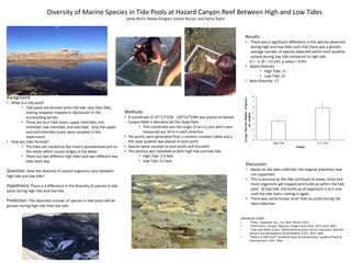 Tidepools | PPT