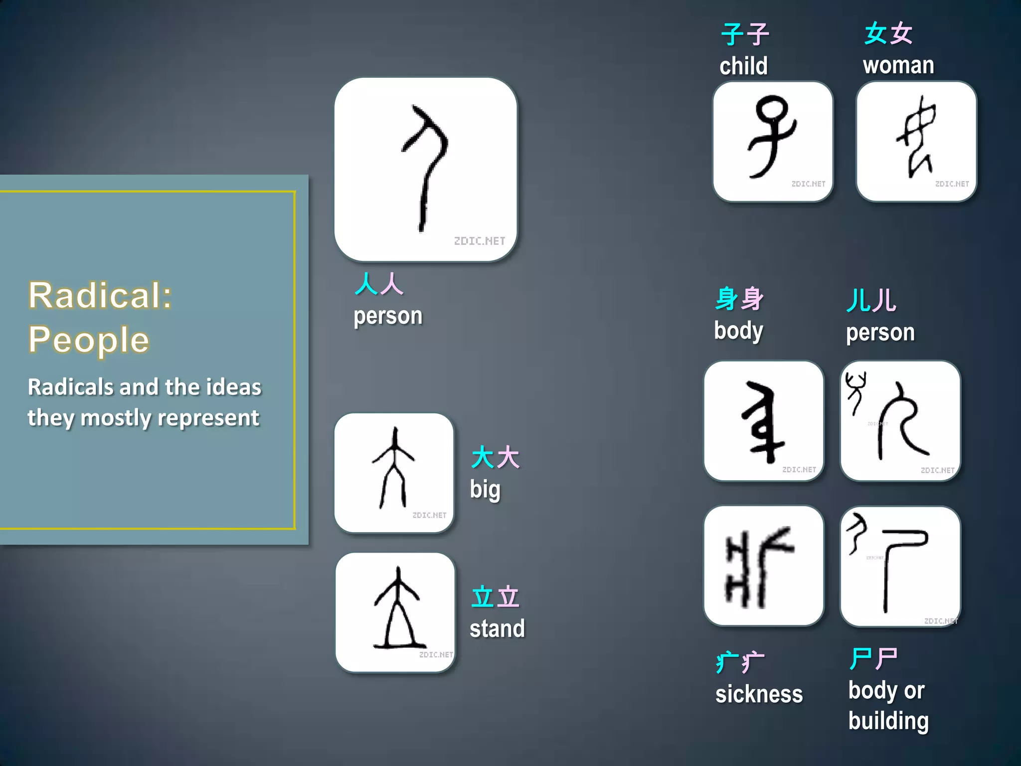 03_Radical: human related-1_people | PPTX