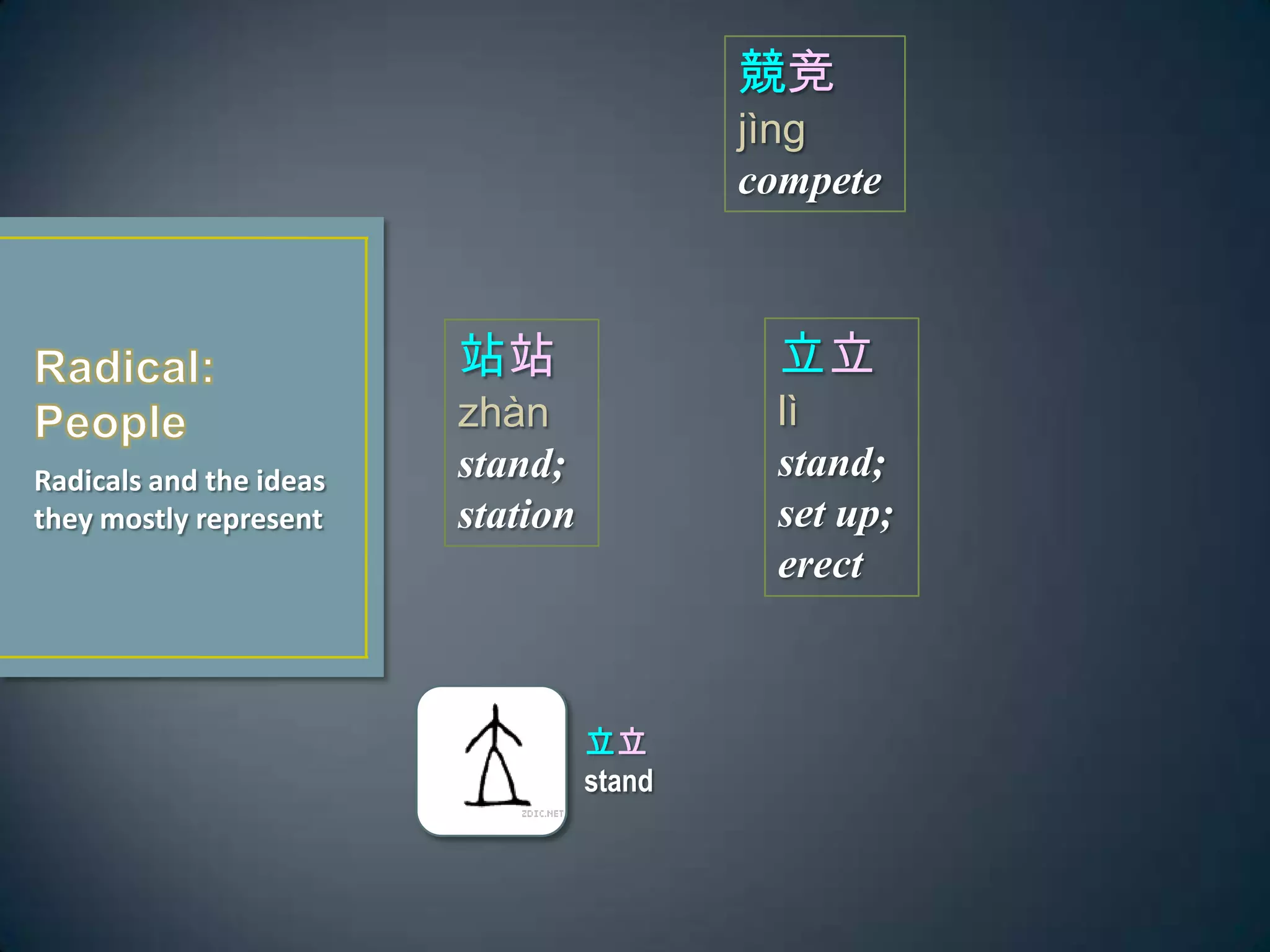 03_Radical: human related-1_people | PPT