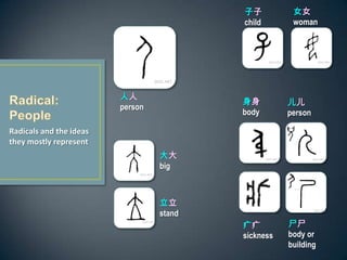 03_Radical: human related-1_people | PPTX