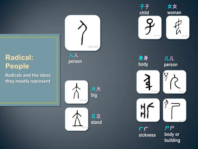 03_Radical: human related-1_people | PPTX