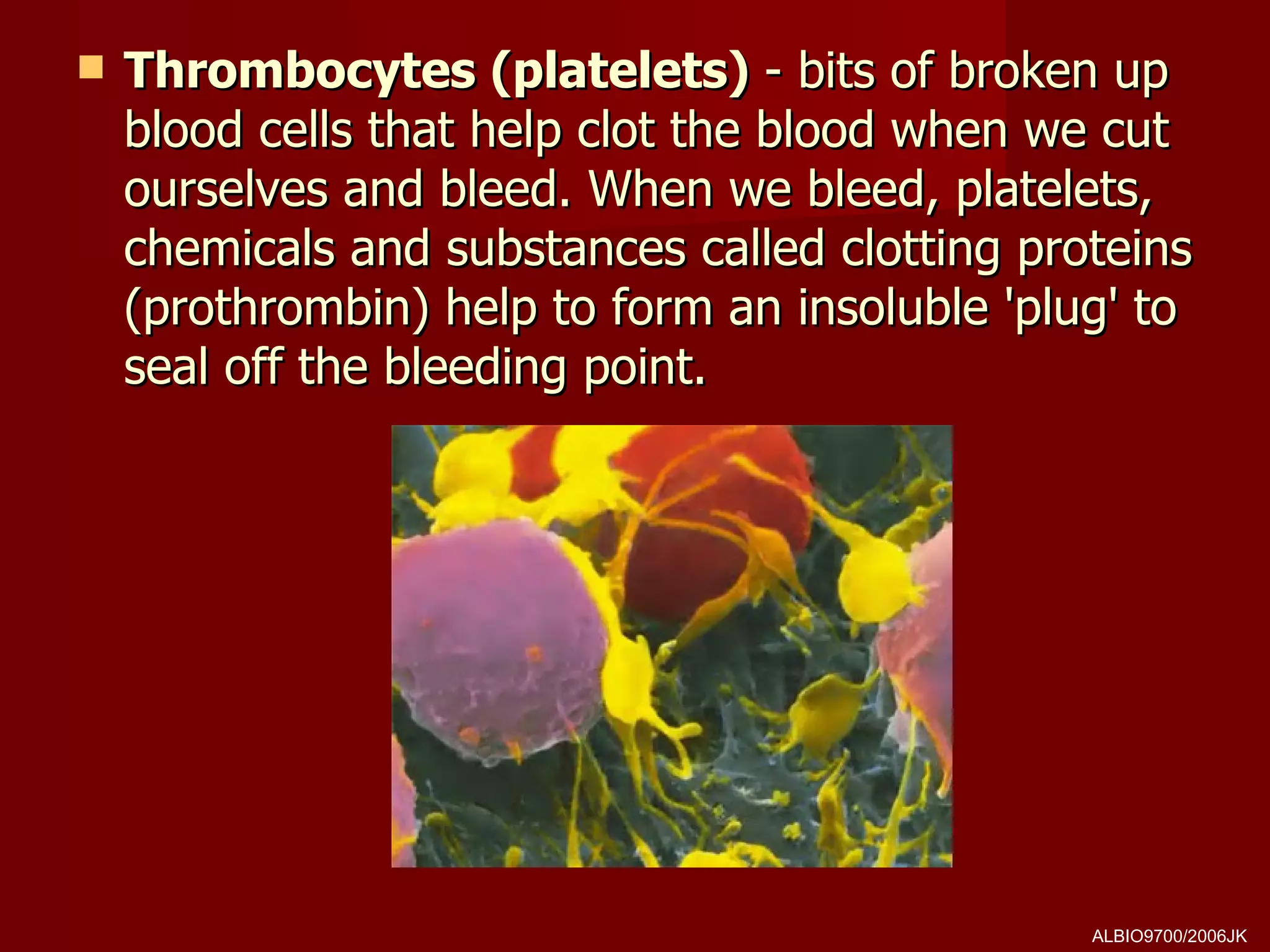 02 Blood, Tissue Fluid and Lymph | PPT