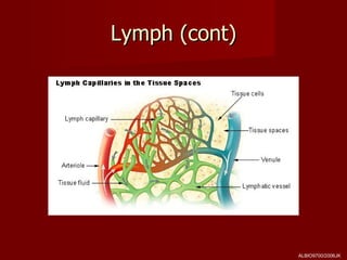 02 Blood, Tissue Fluid and Lymph | PPT