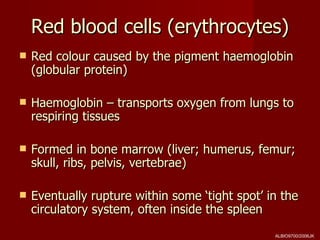 02 Blood, Tissue Fluid and Lymph | PPT