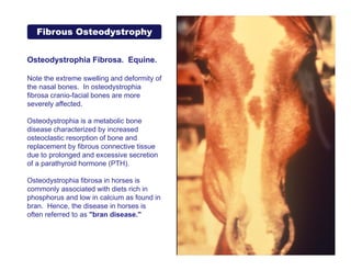 02_disease of bone_metabolic general.pdf