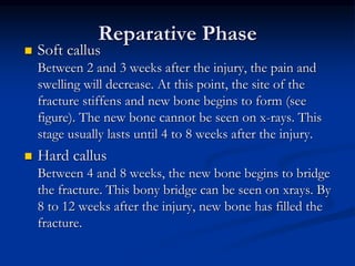 02 Bone Pathology Lec 1, ug cls, with gross and microscopy | PPT