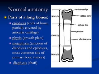 02 Bone Pathology Lec 1, ug cls, with gross and microscopy | PPT