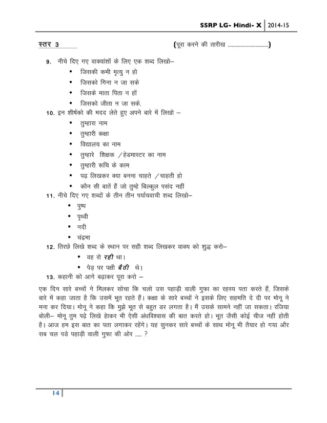 SSRP Self Learning Guide Hindi Class 10 - In Hindi | PDF