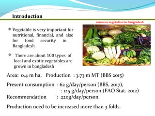 Success of Bt Brinjal in Bangladesh | PPT