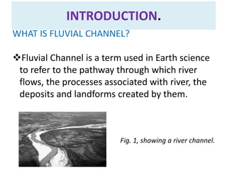 PRESENTATION ON GLY304 | PPTX