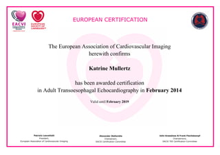 TEE certificate | PPT