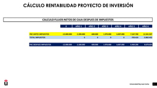 02 CALCULO RENTABILIDAD PROYECTO DE INVERSION.pdf