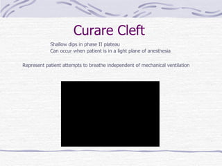02 capnography | PPT | Lung and Respiratory Health | Diseases and ...