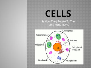 02 Cell and Cell Theory.pptx science gen bio | PPTX