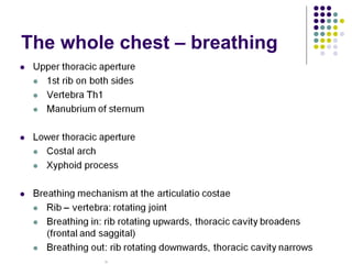 chest | PPT