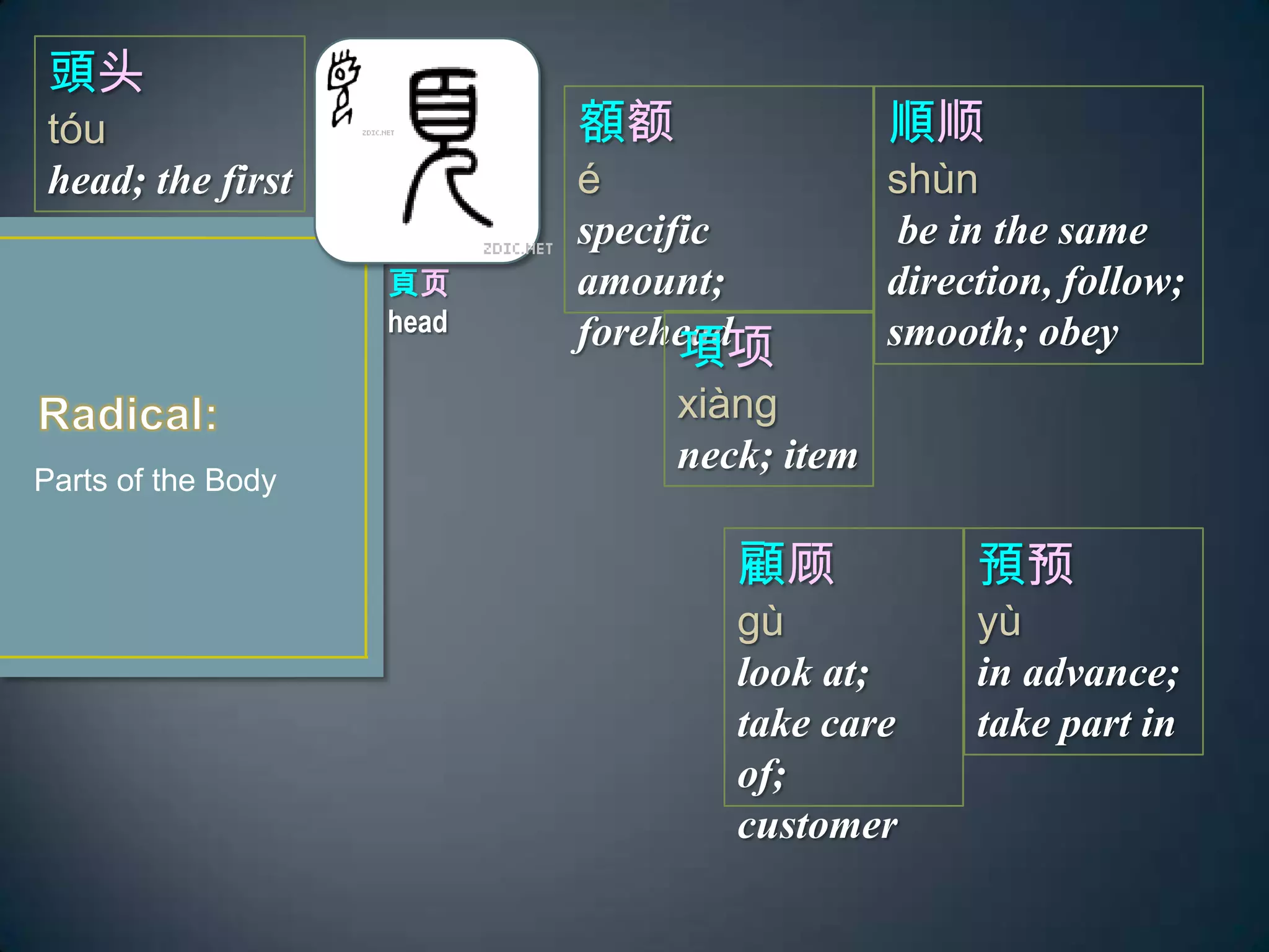 04 Radical: human related-2_parts of the body_morphology_coordinate ...