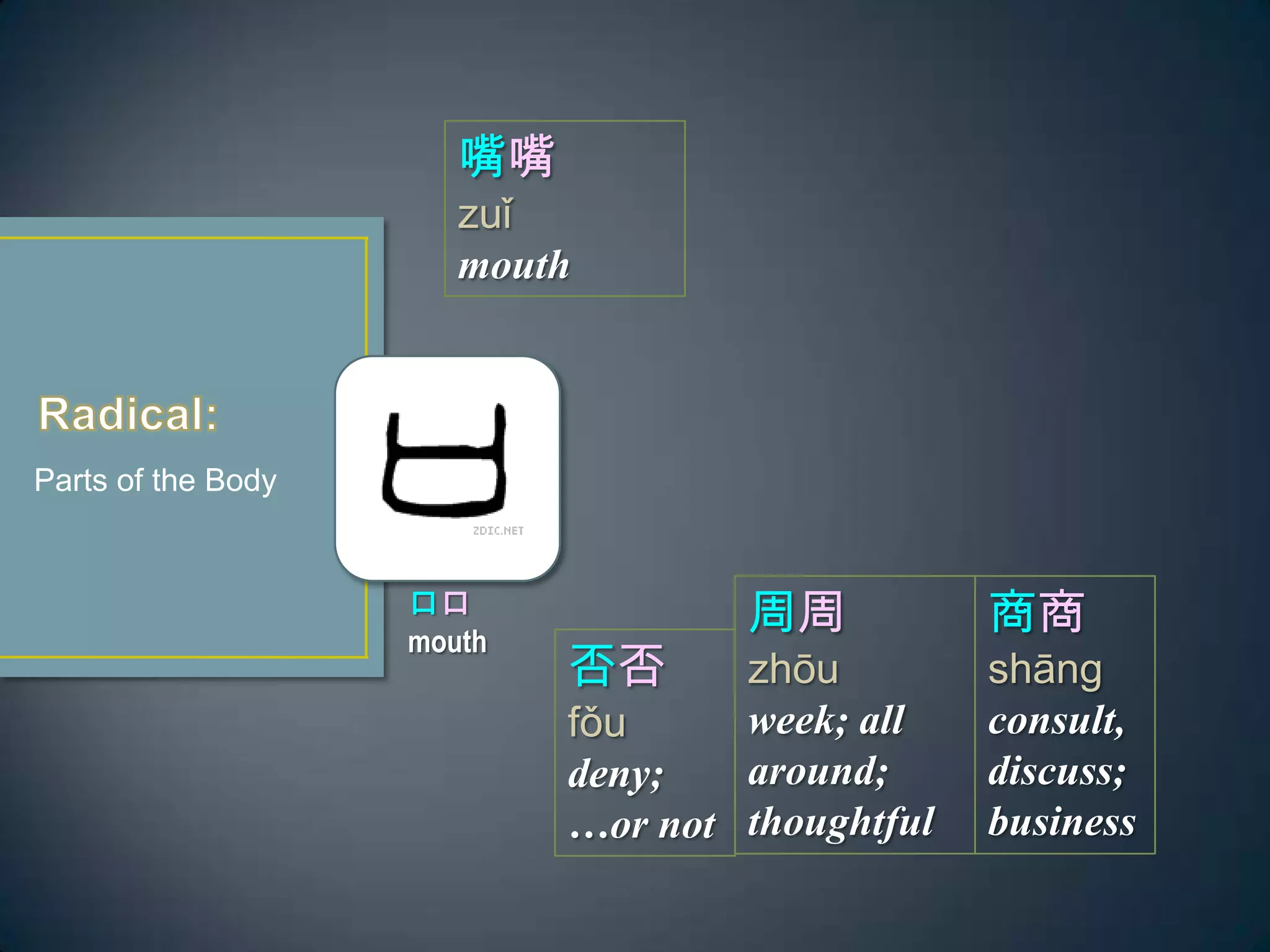 04 Radical: human related-2_parts of the body_morphology_coordinate ...
