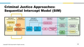 CIT Goals Objectives Overview Jan 2023.pptx