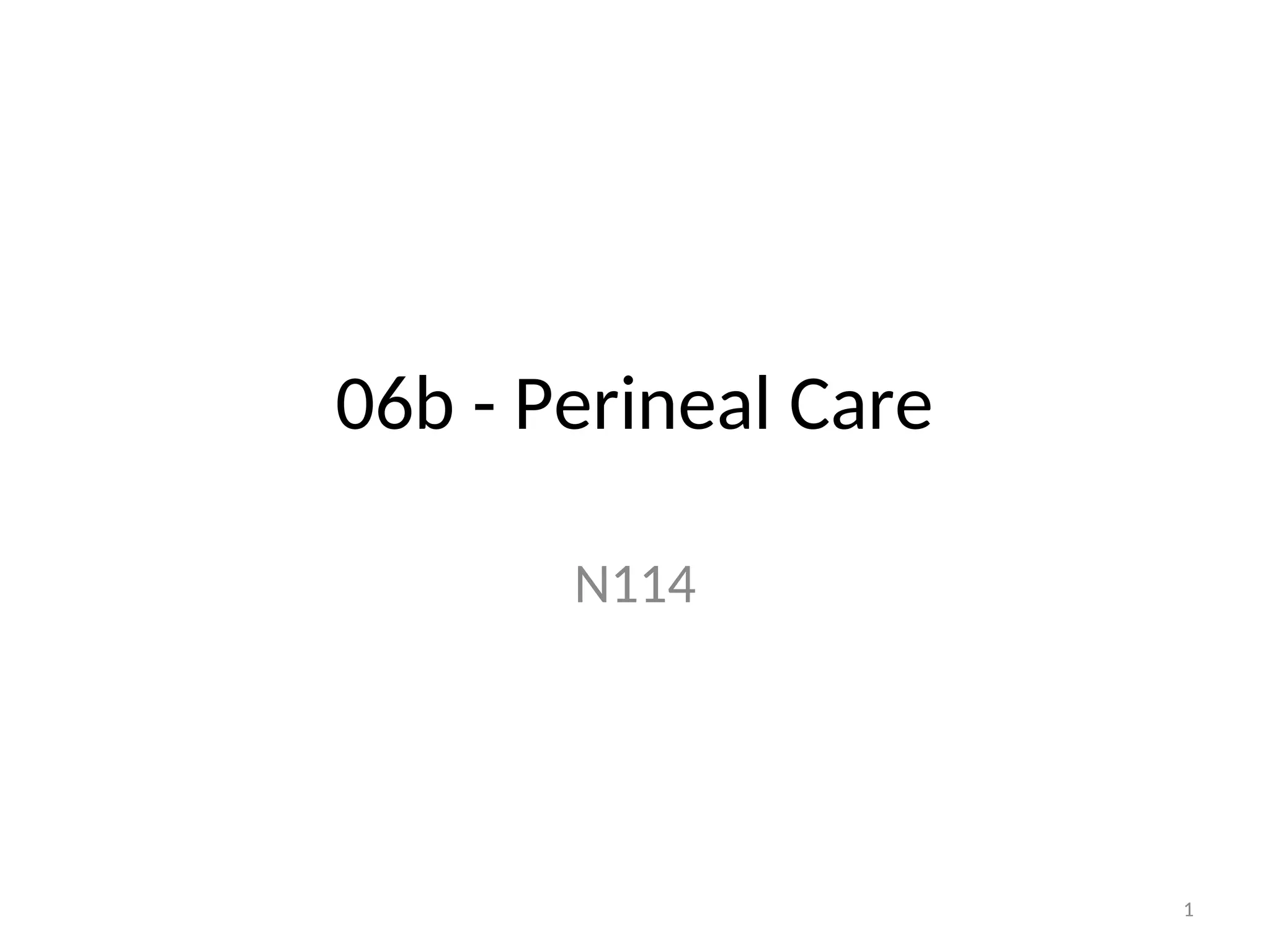 nursing steps in the provision of perineal carePerineal Care.ppt