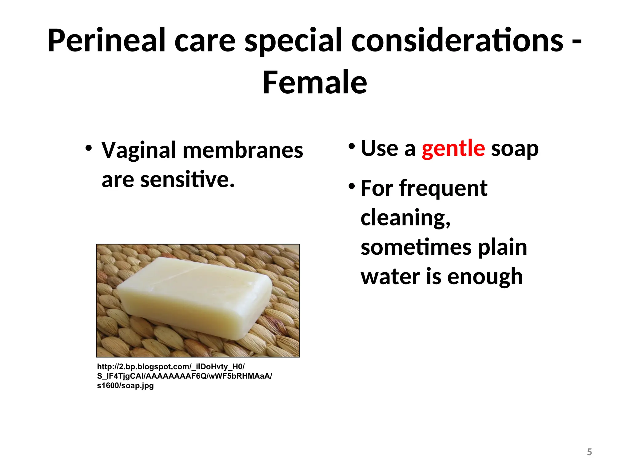 nursing steps in the provision of perineal carePerineal Care.ppt