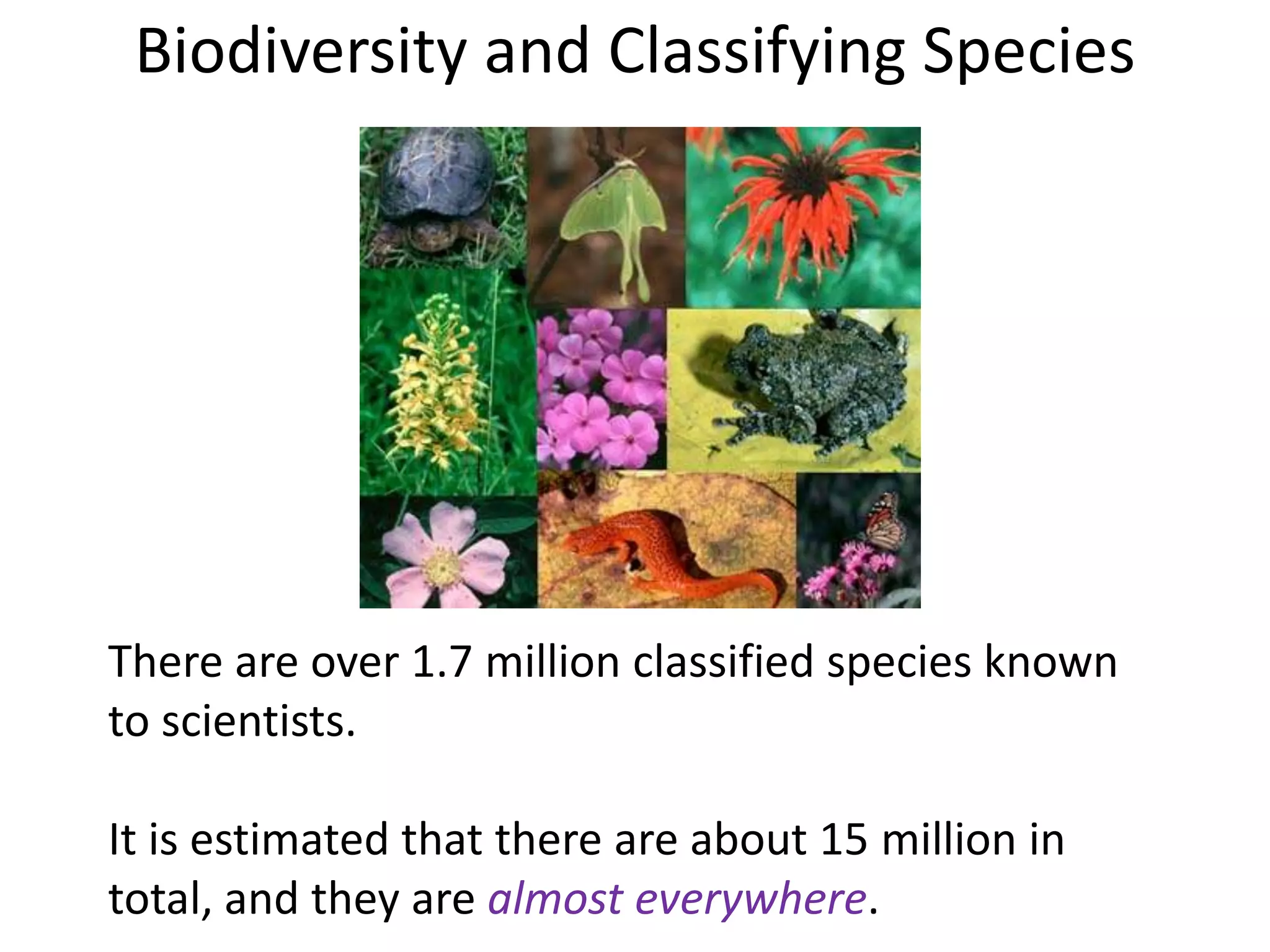 02 classifying species | PPTX