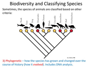 02 classifying species | PPTX