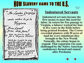 Indentured Servants In Southern Colonies