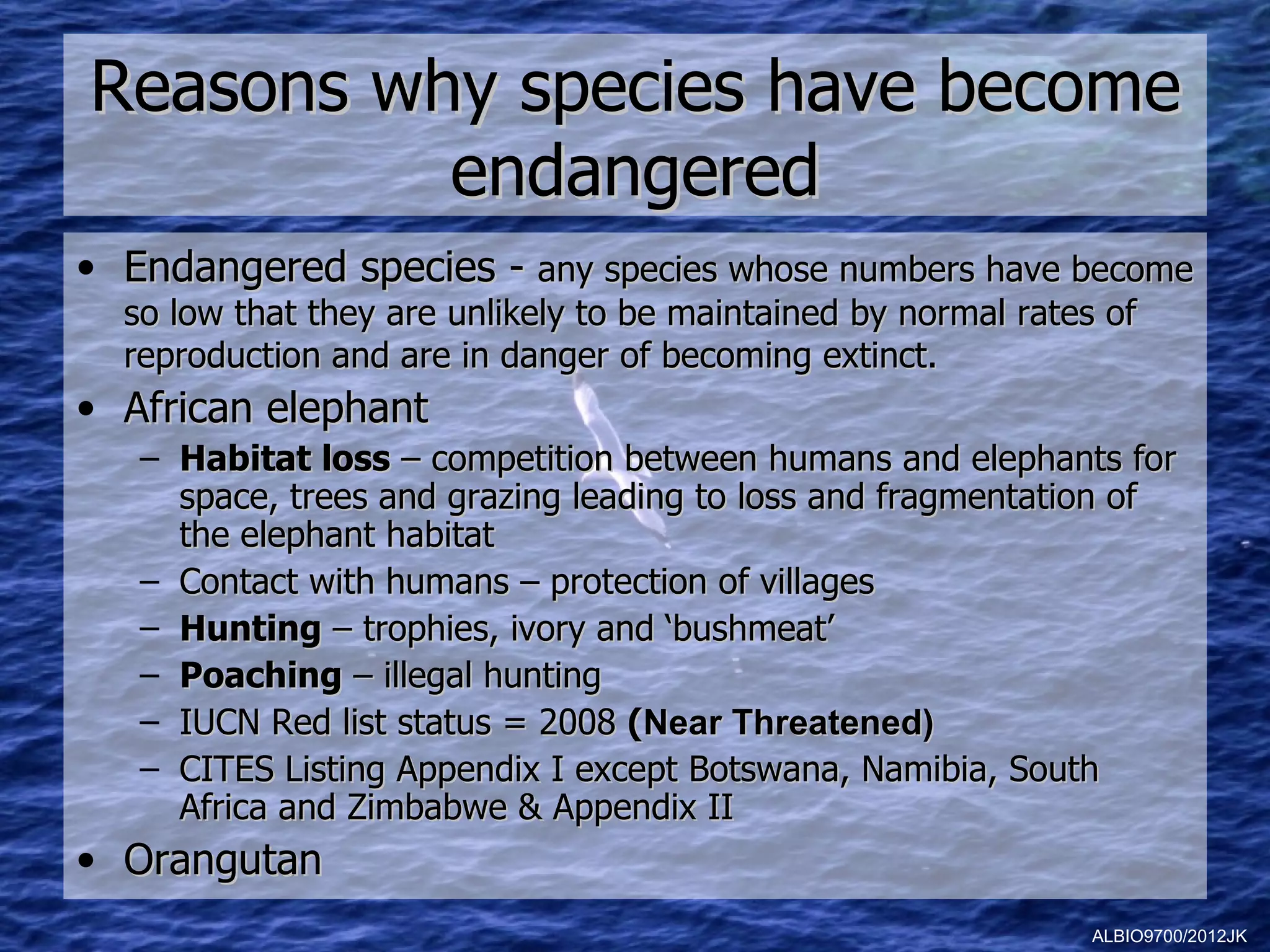 02 Conservation Issues | PPT