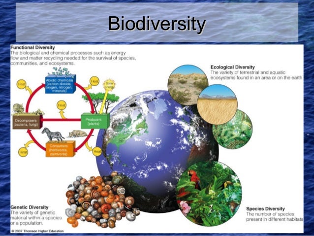 02 Conservation Issues