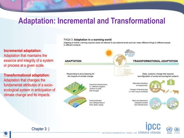 Chapter 4 - Adaptation: incremental or transformational? | PPTX ...