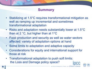 Chapter 4 - Adaptation: incremental or transformational? | PPTX