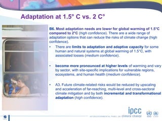 Chapter 4 - Adaptation: incremental or transformational? | PPTX