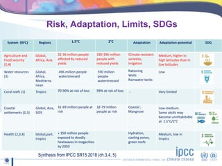 Chapter 4 - Adaptation: incremental or transformational? | PPTX