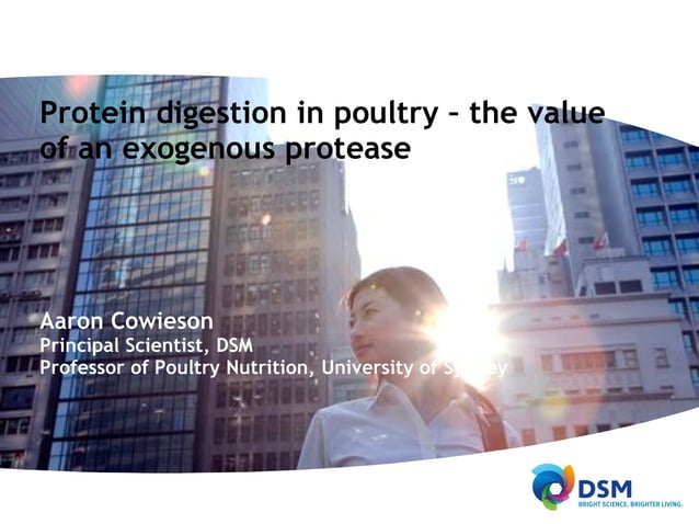 Protein digestion in poultry – the value of an exogenous protease- A ...