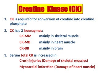 02 Creatine_metabolism 2011 biochemistry | PPT