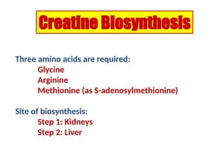02 Creatine_metabolism 2011 biochemistry | PPT