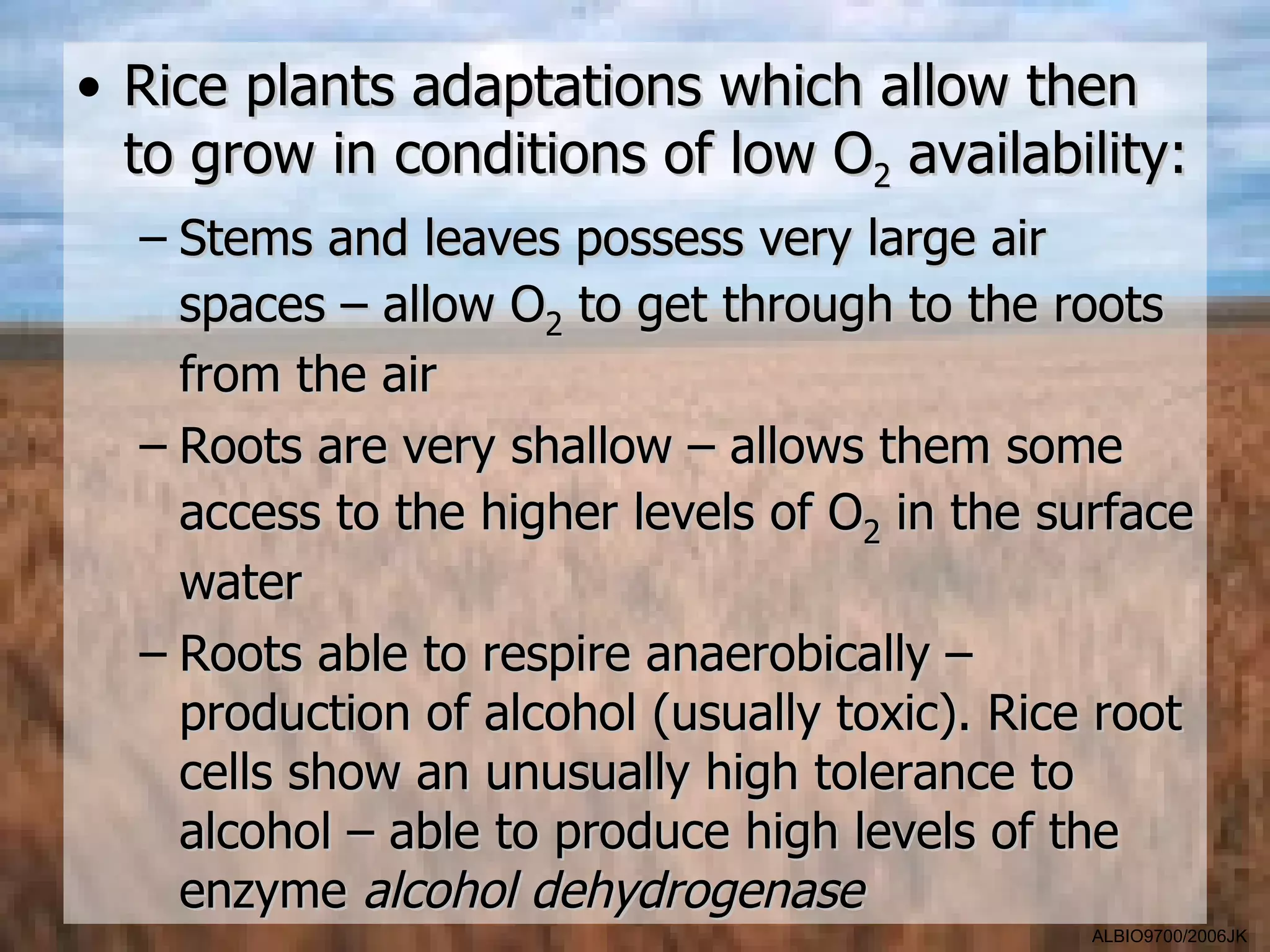 02 Crop Adaptations | PPT