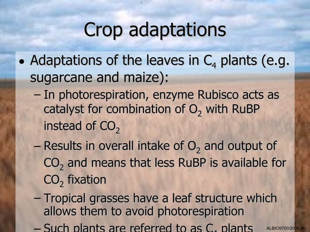 02 Crop Adaptations | PPT