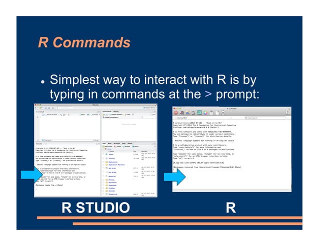 Mixed Effects Models - Descriptive Statistics | PPT